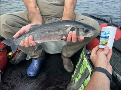 Predator Bass Concentrated “Fish Blood” Lure Gel Natural Sticky Bait ...