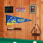 University of Delaware 12x30 Felt Pennant | eBay