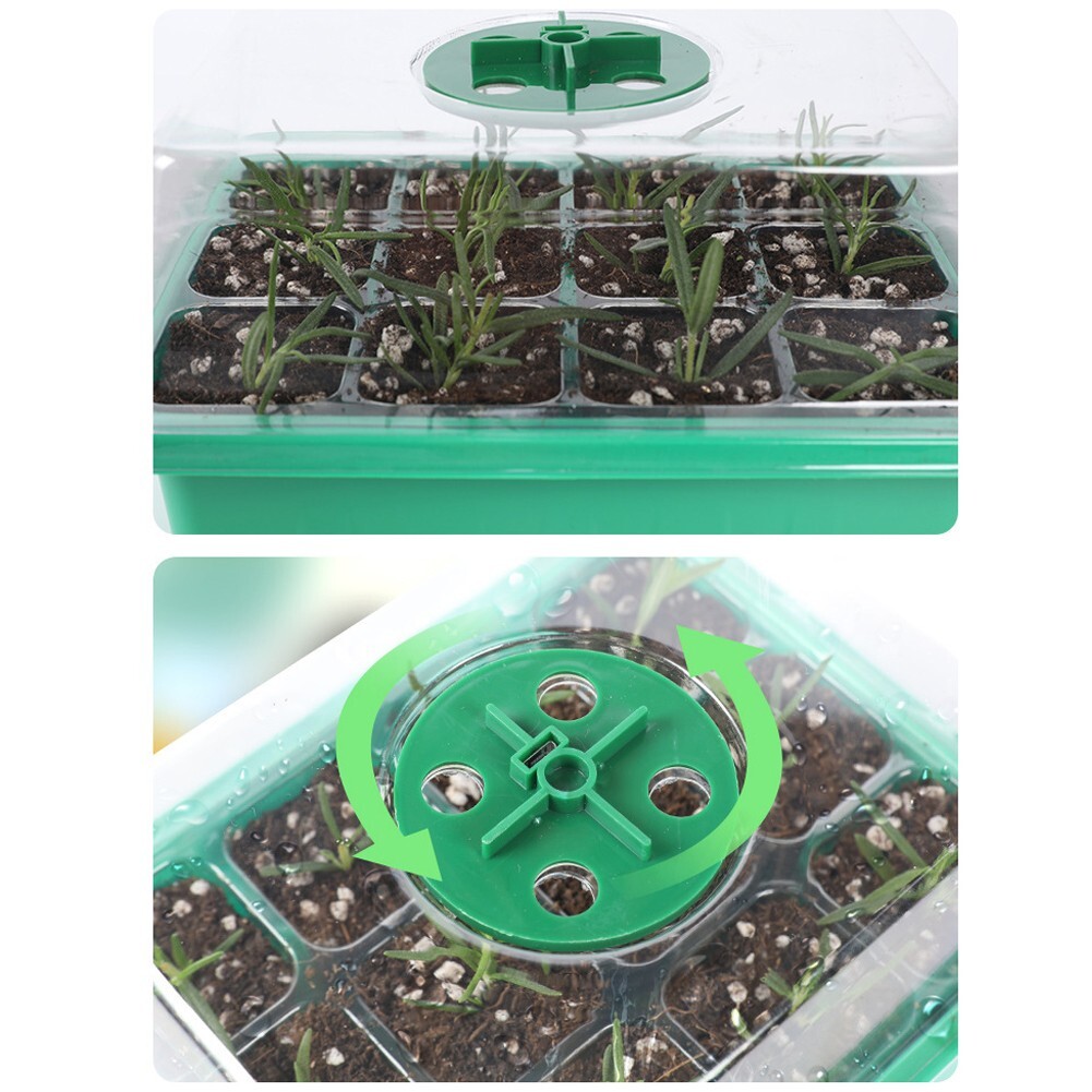 Complete Plant Germination Kit with Adjustable Light and Humidity ...
