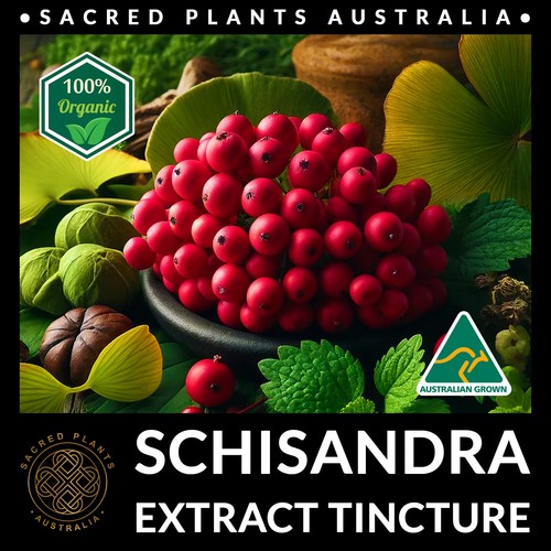 SCHISANDRA Extract Tincture 100ml Liver Detox Rare Medicinal Adaptogen ...