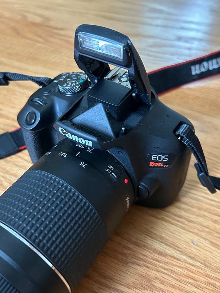 Canon EOS Rebel T7 24.2MP Digital SLR Camera Bundle 75-300mm Lens with ...