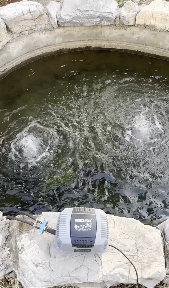 Koi Fish Pond Air Pump Septic Aerator Pump + Self Weighted Hose + Timer ...