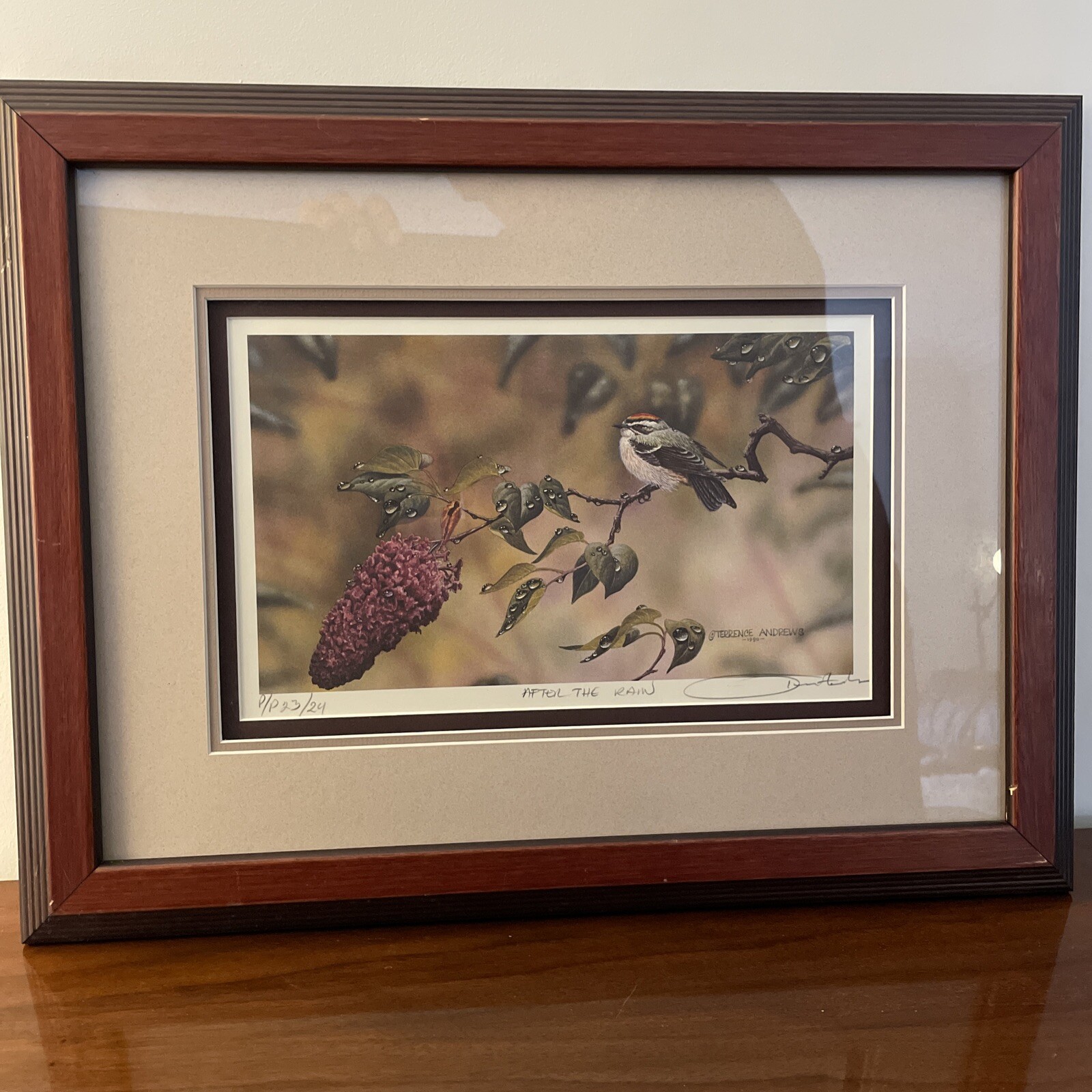 Terrence Andrews "After The Rain" Lithographed Print 1990 Hand Signed ...