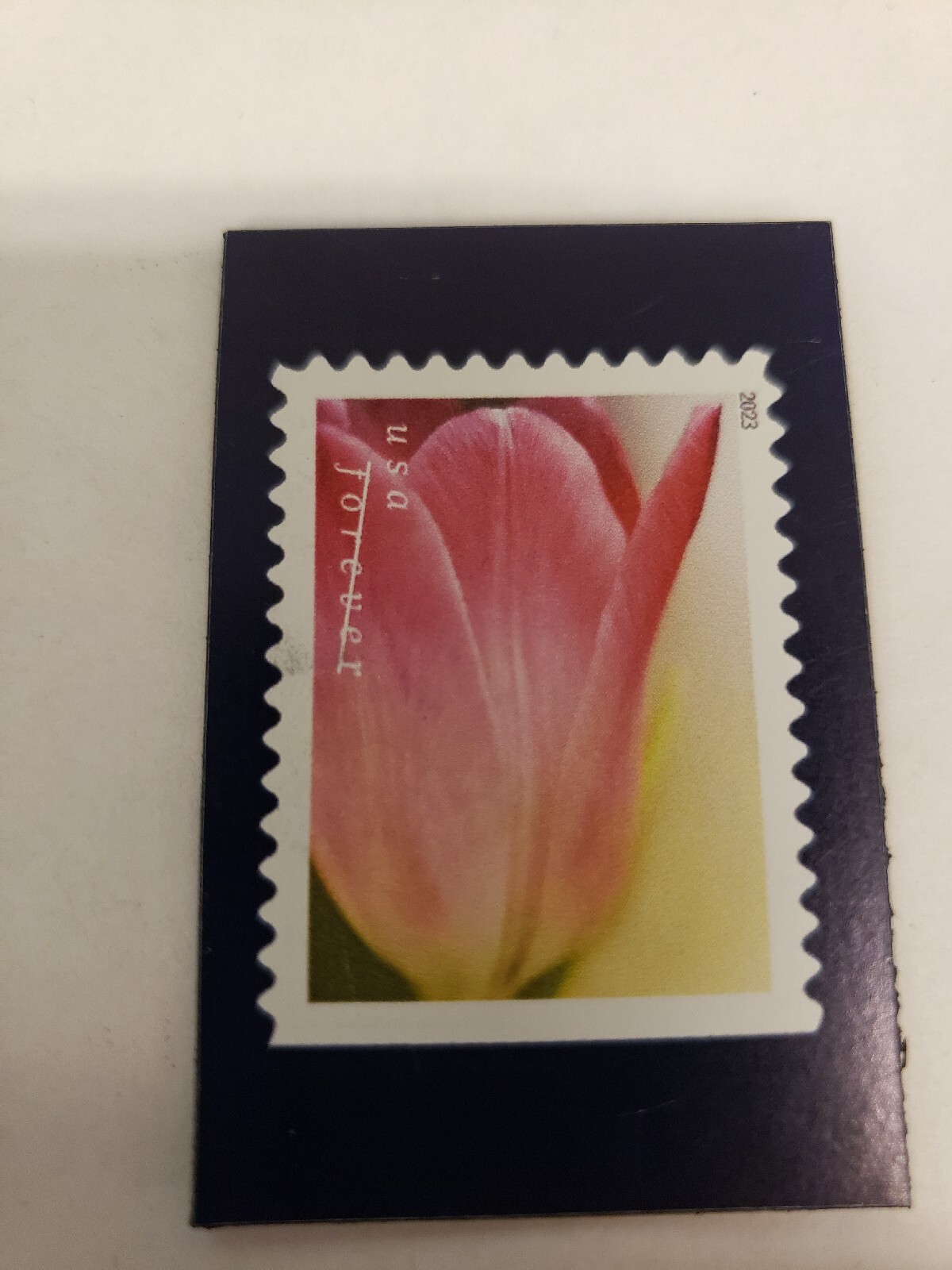 postal promo stamp magnet - Tulip | eBay