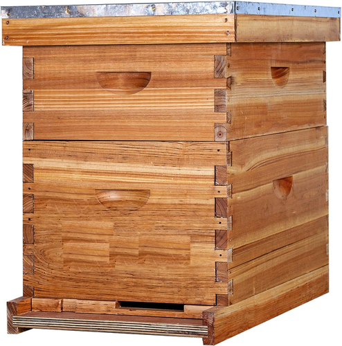 BeeCastle 10-Frame Langstroth Bee Hive Coated with Beeswax, Beehive ...