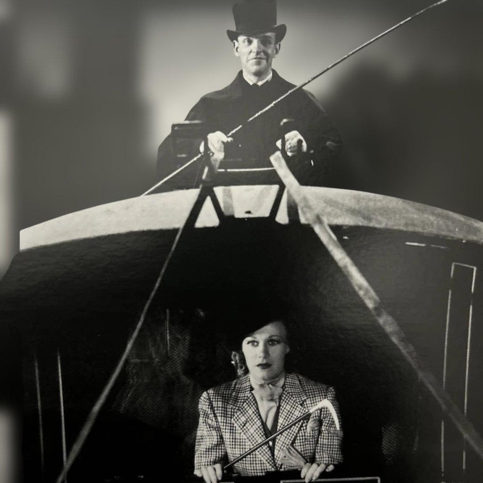 Laser Disc TOP HAT FLYING DOWN RIO Japan 2p | eBay