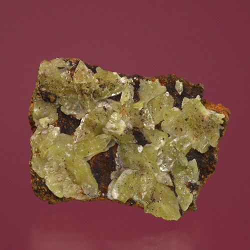 Cerussite var. Chrome Cerussite, Waratah District, Tasmania, Australia ...