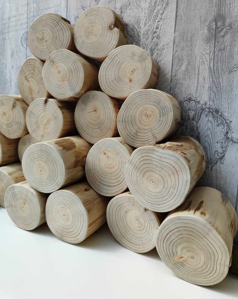 Decorative fireplace display logs Wood Slices Rustic Wall decorative ...