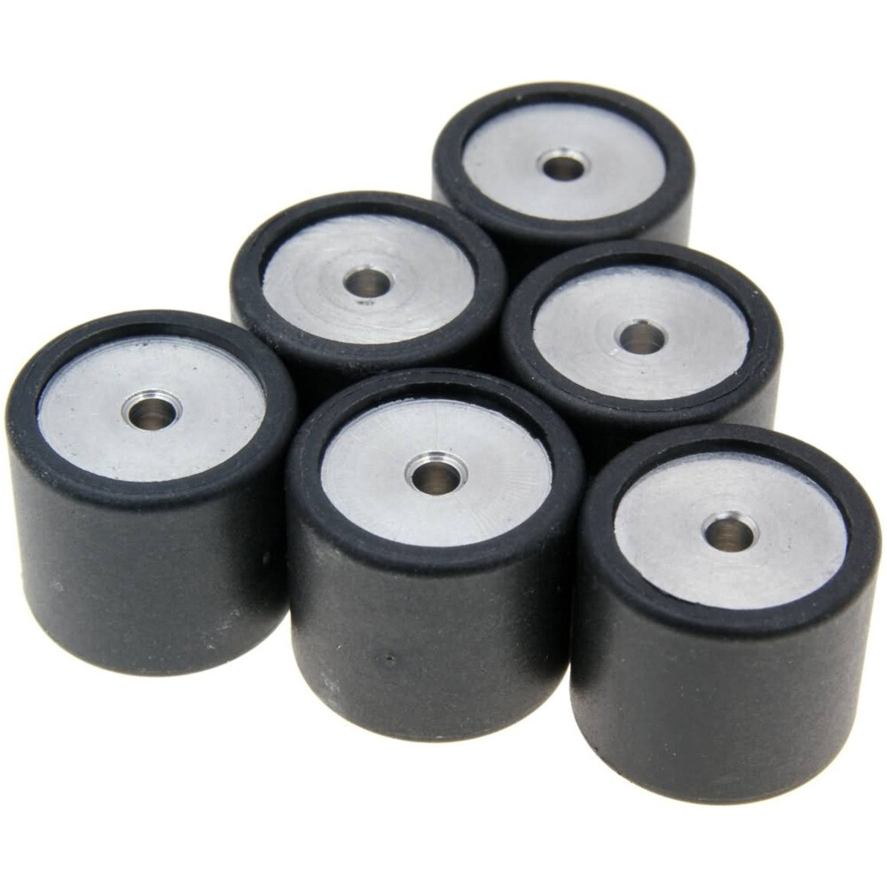 Variorollen Variomatikgewichte Polini 19x17mm - 5,5g Beverly HD ...