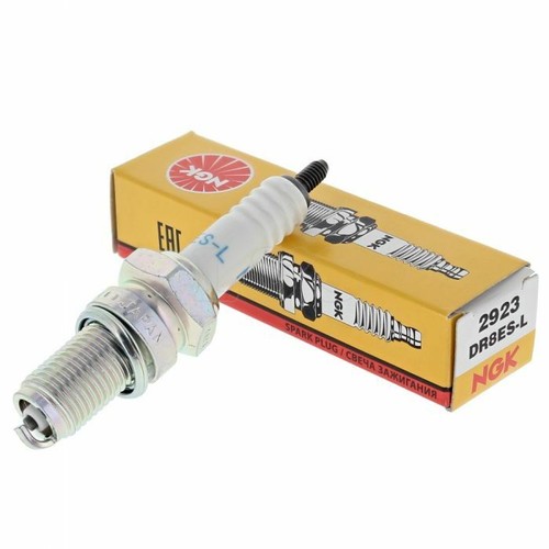 Genuine NGK DR8ES-L Spark Plug -Stock No: 2923 - Sold Individually ...