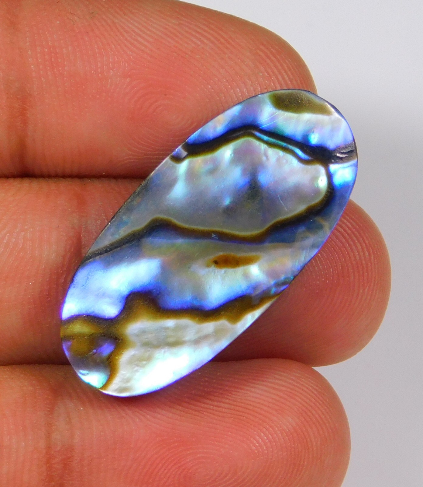 26.CT NATURAL MULTI FIRE ABALONE SHELL OVAL CABOCHON CALIBRATED ...