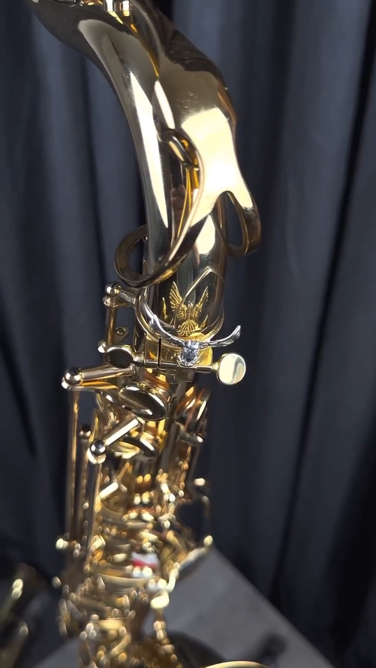 Sax Tone Booster. Improve Clarity & Vibration Control. Saxophone ...