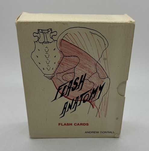 Andrew Bonsall Flash Cards Set Muscles Anatomy Origin Action Insertion ...