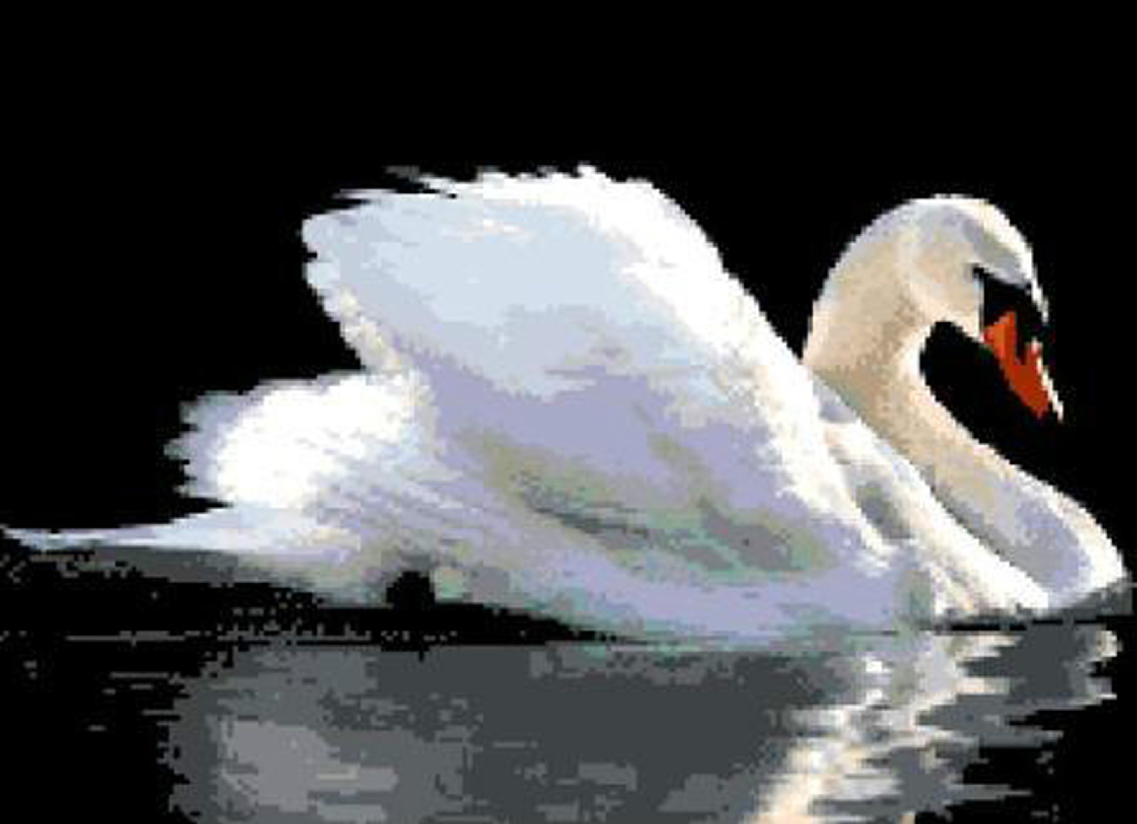 SCHEMA SCHEMI PUNTO CROCE RICAMO QUADRO CIGNO SWAN DMC CROSS STITCH ...