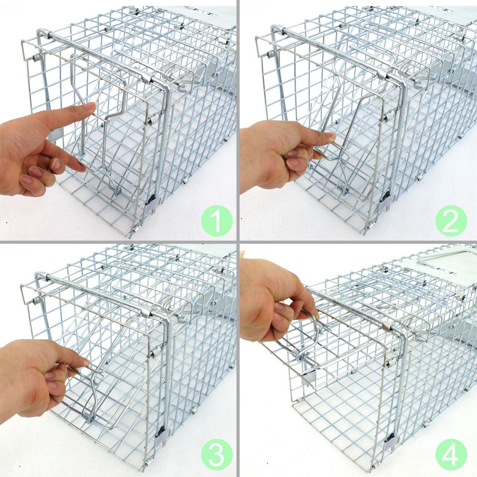 Professional Humane Live Animal Trap 24"X8"X 7.5" Opossum Squirrel ...