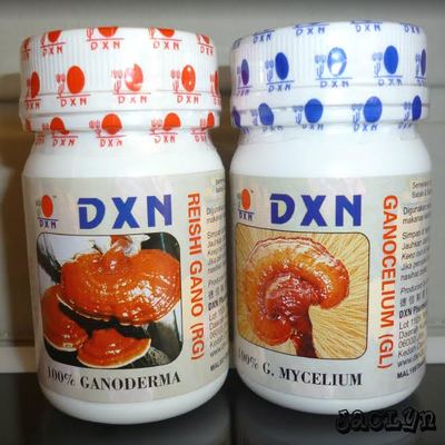 DXN RG 30 + GL 30 capsules - Reishi Gano, Ganocelium | eBay
