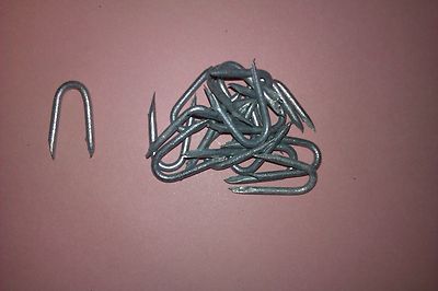 Galvanised Staples for Chicken Mesh, Chick Wire, Poultry Runs, hatching ...
