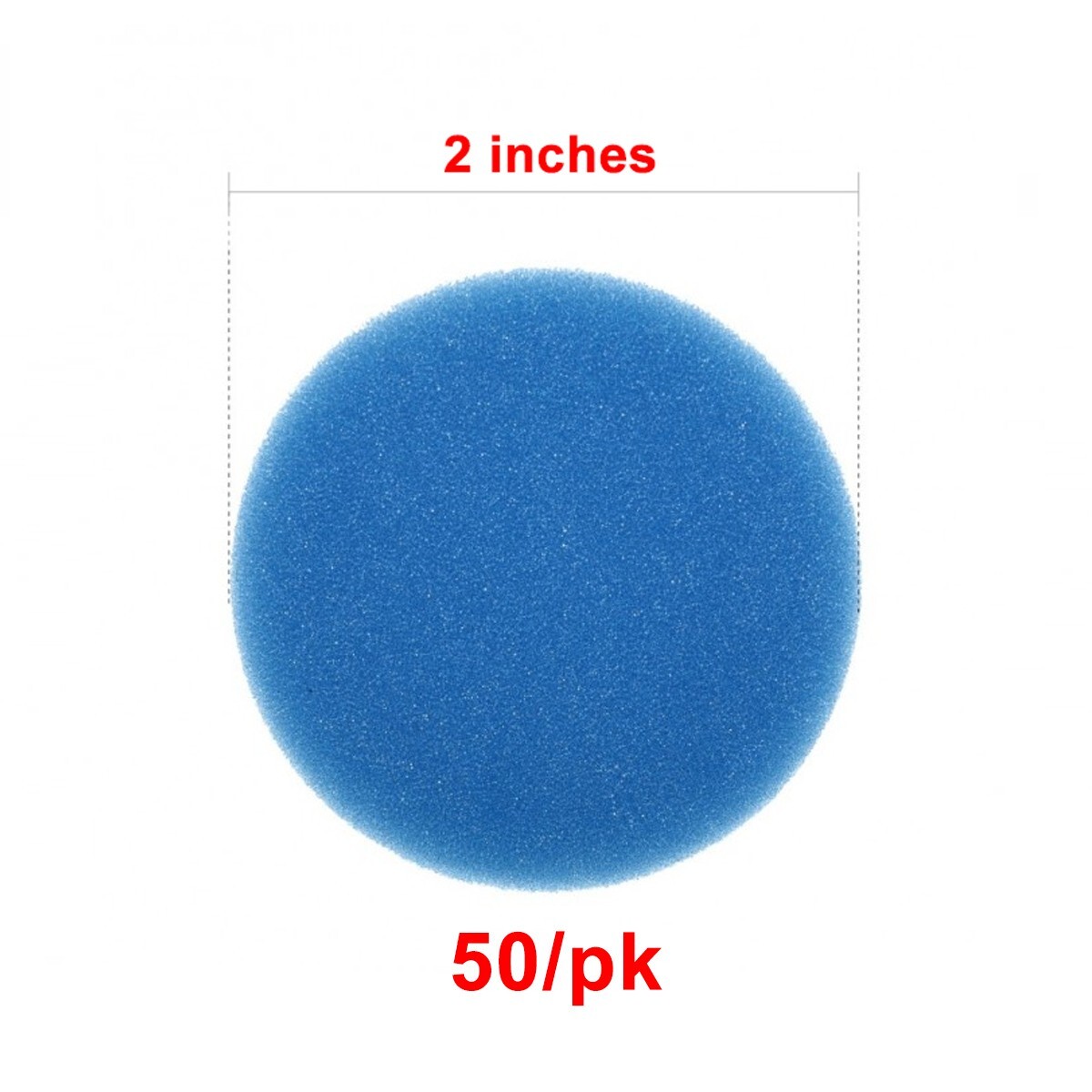 50 Dental Endo Foam Endodontic Round Sponges Inserts | eBay