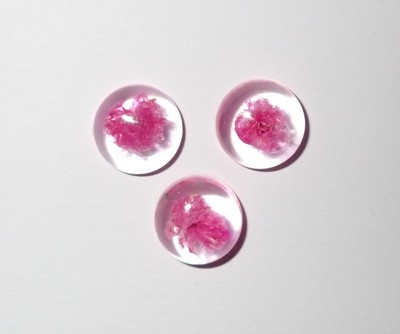 Plant Cabochon Baby's Breath Flower Specimen Round 13 mm Clear 3 pieces ...