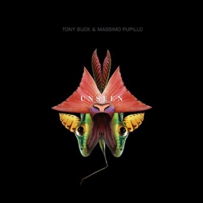 Tony Buck & Massimo Pupillo Unseen (CD) Album (UK IMPORT) 9120036682825 ...
