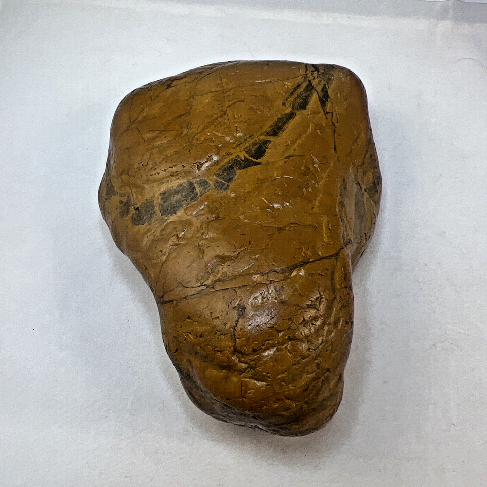 Yellow Jasper WYO Banded Iron Tiger Ironstone GENESIS Mormon Seer Stone ...