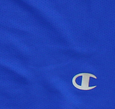 Champion Men's Mesh Shorts, Gym Short 11" Inseam, 2 Pocket, Lightweight ...