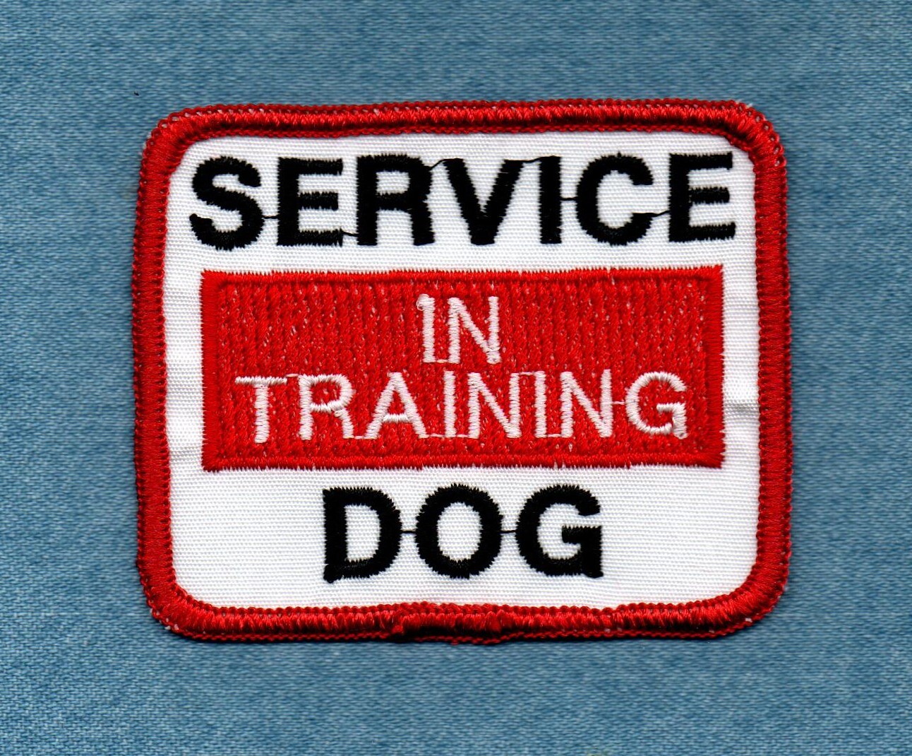 SERVICE DOG IN TRAINING - Service Dog vest patch - 2.5" x 3" | eBay