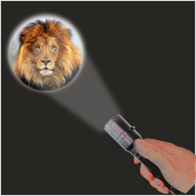 Flashlight Lion Face Design LED Flash Light Projector Bright ...