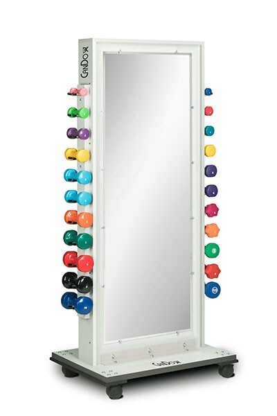 NEW! CanDo Mobile Weight Rack and Mirror - No Accessories Included | eBay
