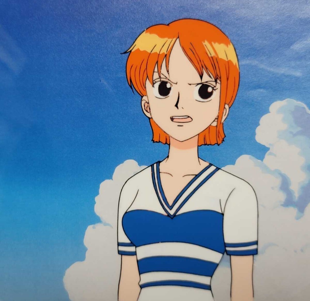 One Piece Nami Special