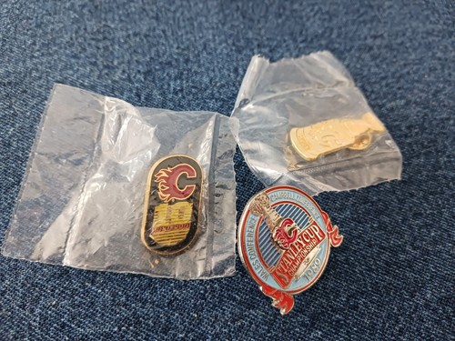 3 Calgary Flames Pins NHL 1989 Stanley Cup Champions 10 Years Ice ...
