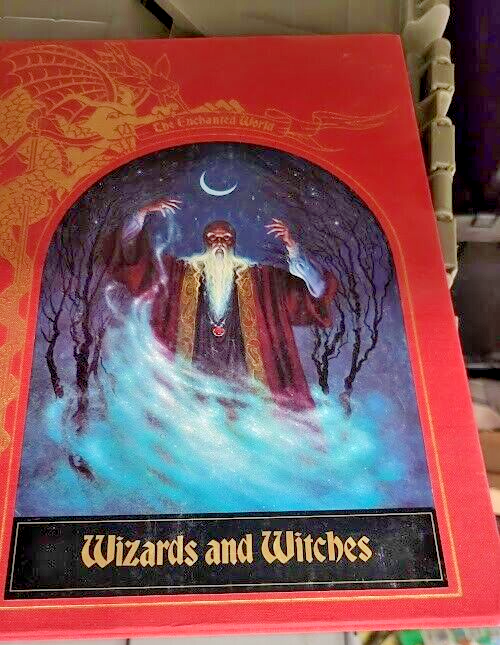 The Enchanted Wizard : Wizards And Witches | eBay