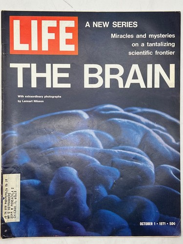 LIFE Magazine OCT 1, 1971 The Brain; Attica; Tombs Prison Riot; Body ...