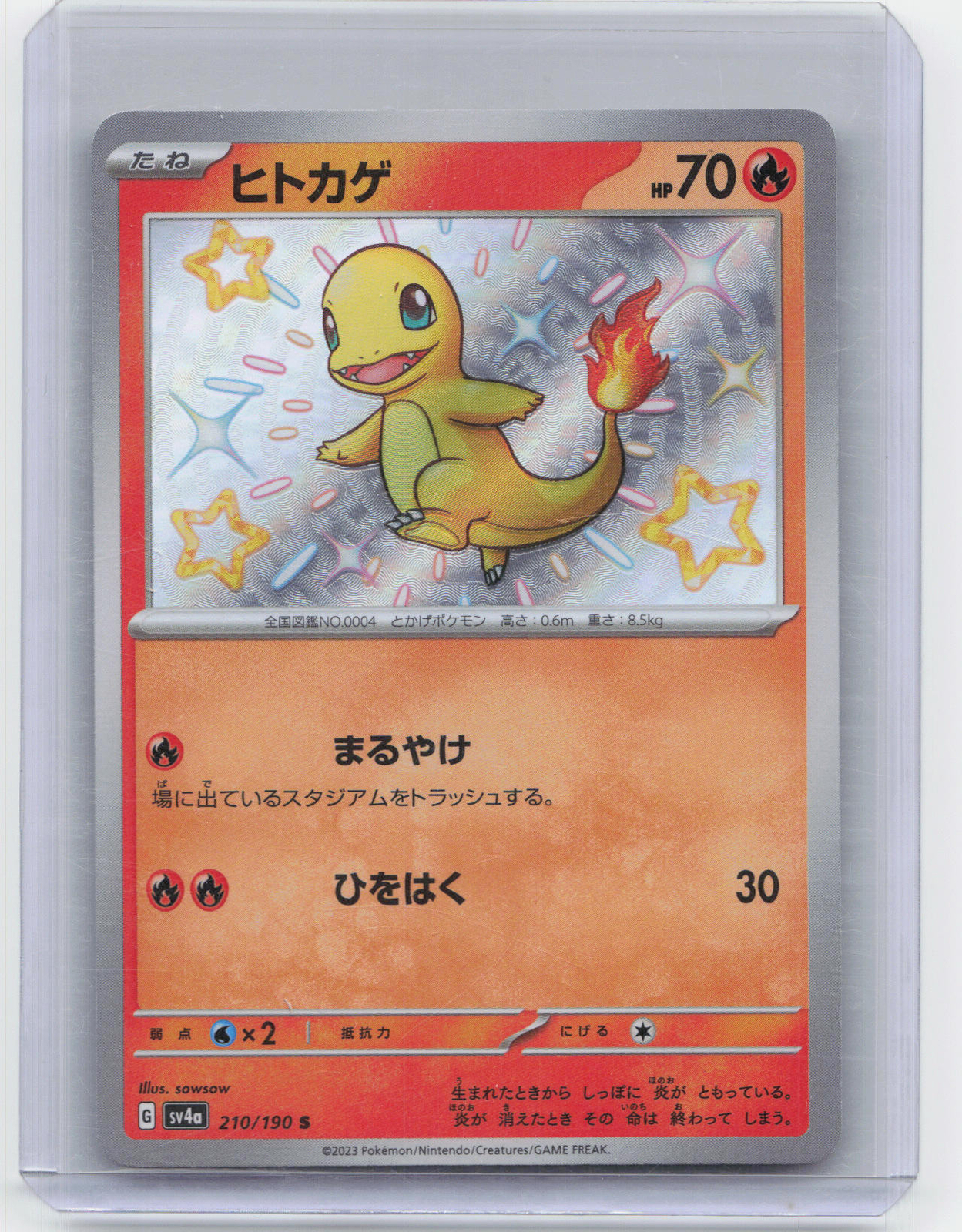 Pokemon sv4a Japanese Shiny Treasure #210/190 Charmander Baby Shiny | eBay