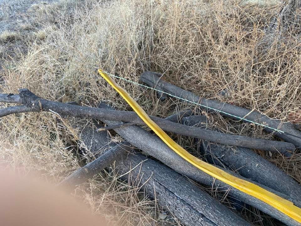 42 lbs 27" Draw NEW Bend Through Handle Character Osage Orange Long Bow ...