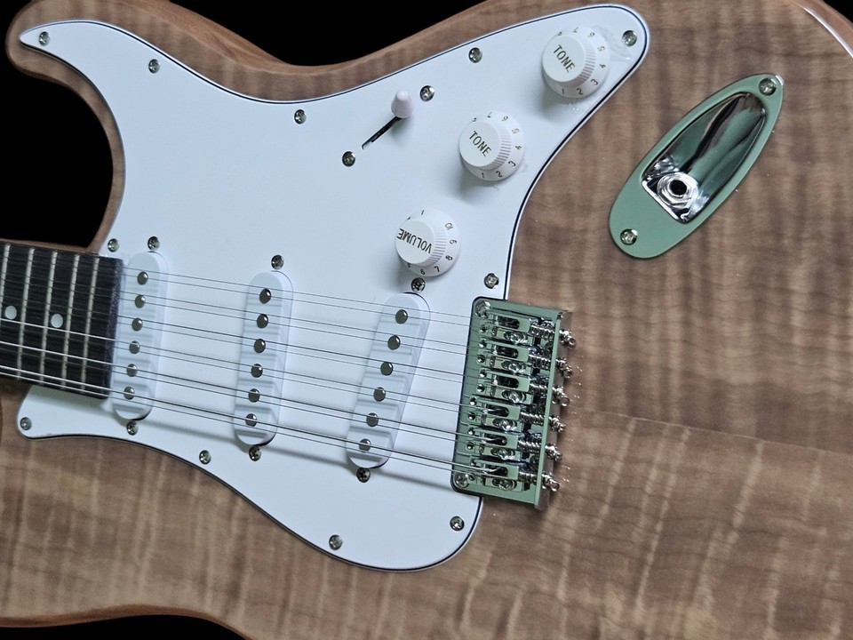 CURLY BURL MAPLE CUSTOM 12 STRING ST. STYLE X11 MODEL ELECTRIC GUITAR ...