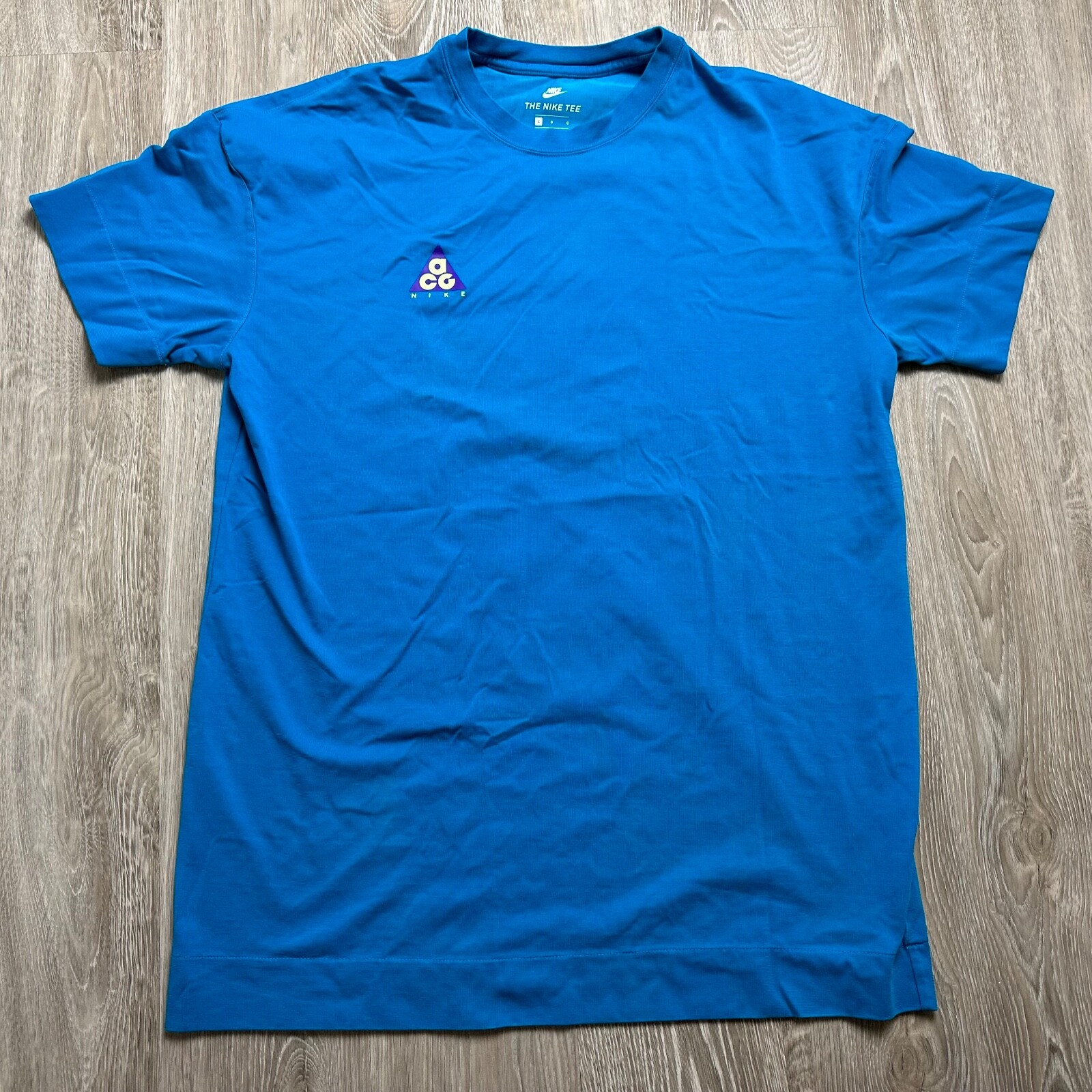 Nike ACG Double Sided Classic Logo Turquoise Blue T-S… - Gem