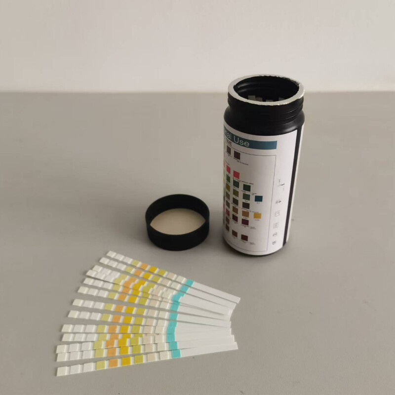 100 Strips URS-10T Urinalysis Reagent Strips 10 Parameters Urine Test ...