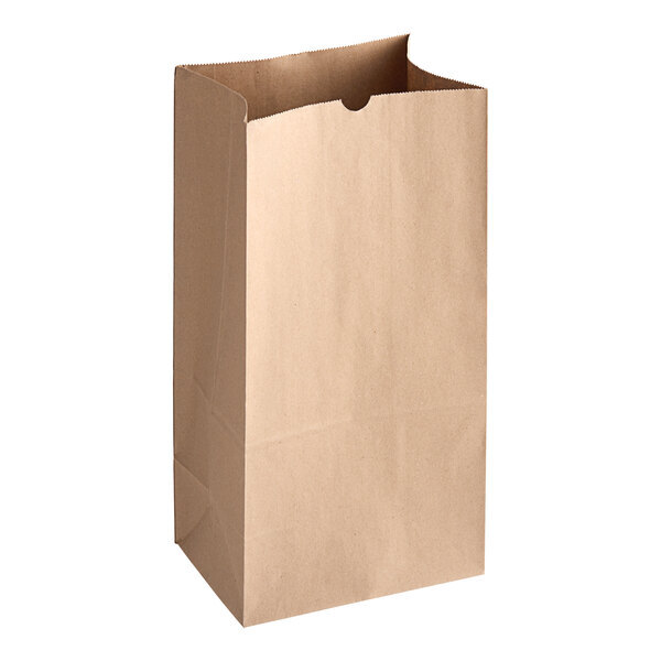 Duro Natural Kraft Paper Bag - 500/Bundle (select size below) | eBay