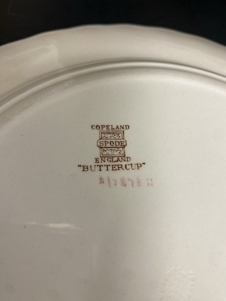 Spode Copeland China BUTTERCUP (Older Backstamp) Set of 12 Dinner ...