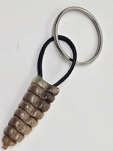 Vintage Southwestern Real Rattlesnake Snake Rattle Tail Keychain Key ...