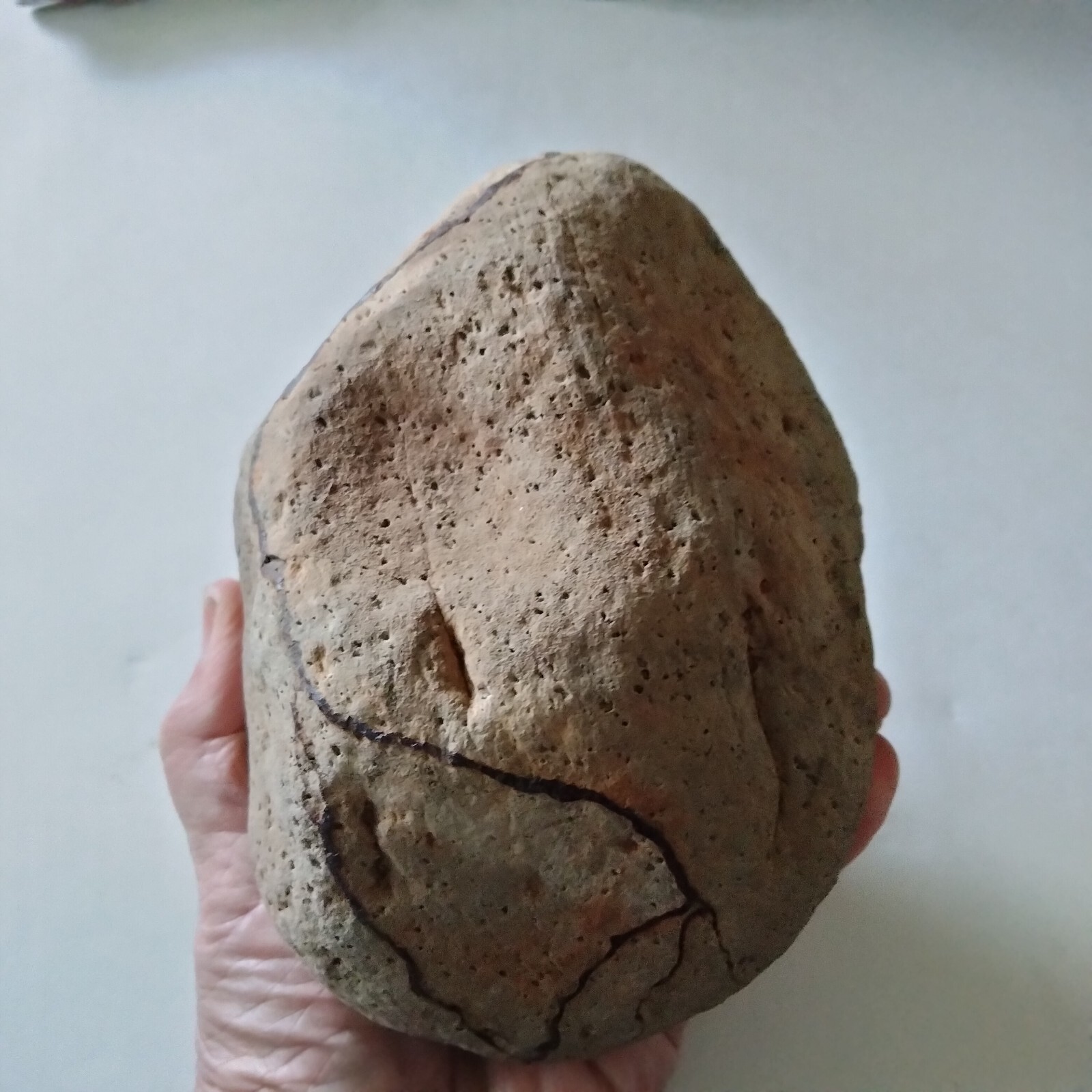 Prehistoric Paleo-American stone art, fossilized egg sculpture, multi ...