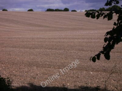 Photo 6x4 Field south of Up Somborne This is a very dull field. In the ...