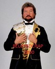 TED DIBIASE WRESTLER 8 X 10 WRESTLING PHOTO WCW WWF | eBay