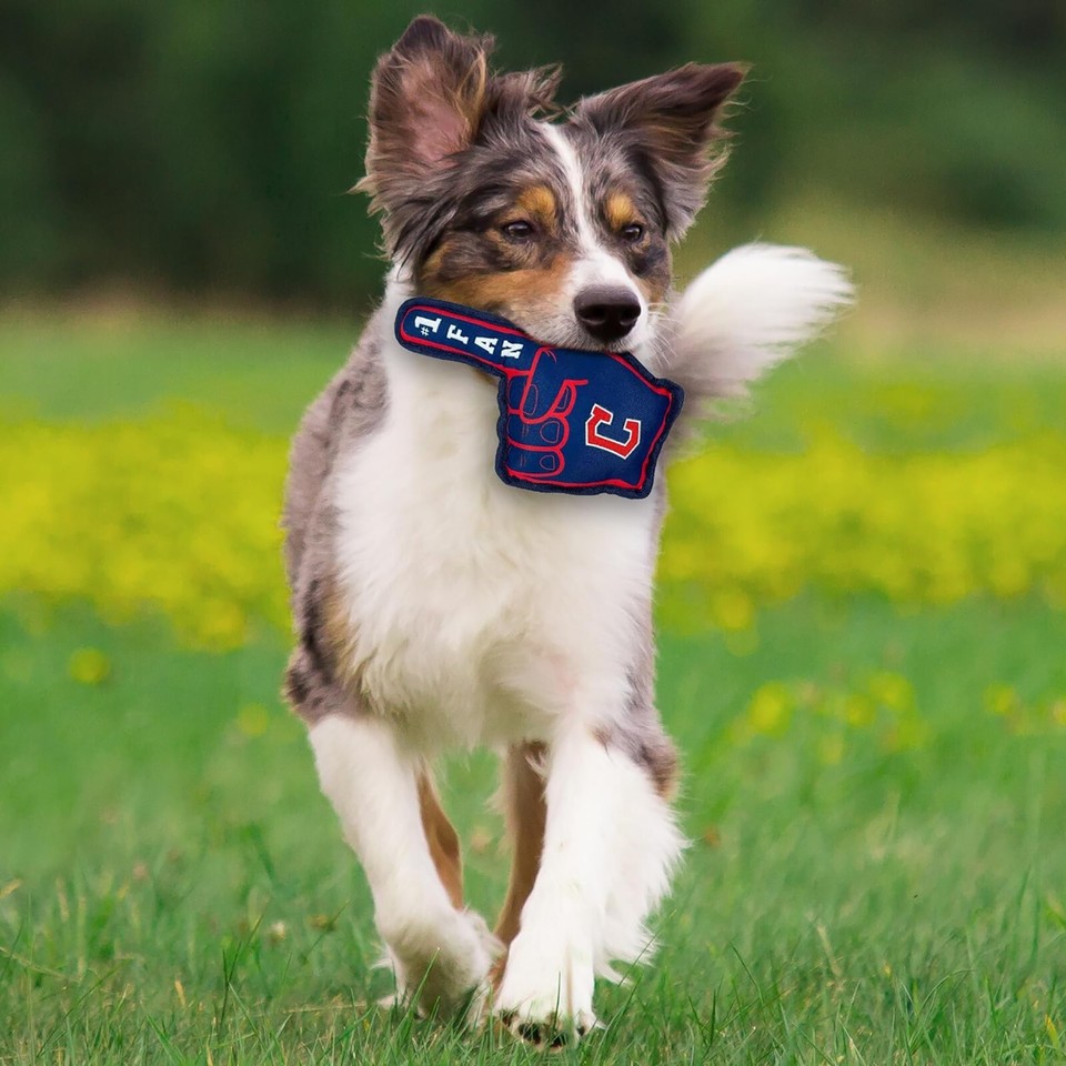 Pets First MLB #1 Fan Chew Toy for Dogs & Cats Heavy-duty Dog Toy with ...