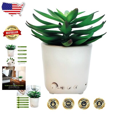 Elegant Green Sound Machine: Battery-Powered White Noise & Nature ...