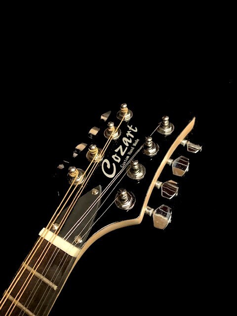 MANDOCASTER-BRAND NEW PELHAM BLUE 8 STRING SOLID ELECTRIC MANDOLIN | eBay