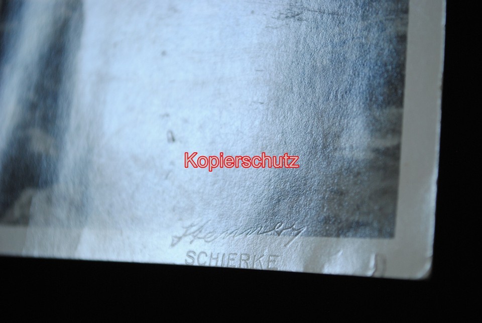 Foto AK Mann m. Eisbär Eis Bär icebear bear Schierke am Brocken ...