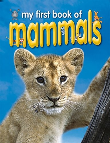 MAMMALS (MY FIRST BOOK OF...) By Honor Dee Phillips Head **Mint ...