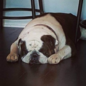 bryk house resale | eBay Stores